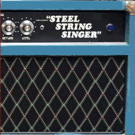 Dumble Steel String Singer NAM Profiles by @wendycabs · TONE3000