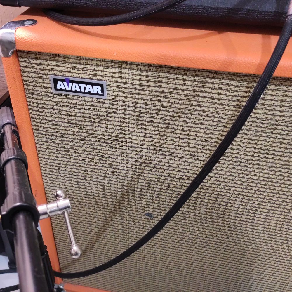 Avatar 2x12 Cabinet (w/ Eminence Governor and Cannabis Rex speakers) IR ...